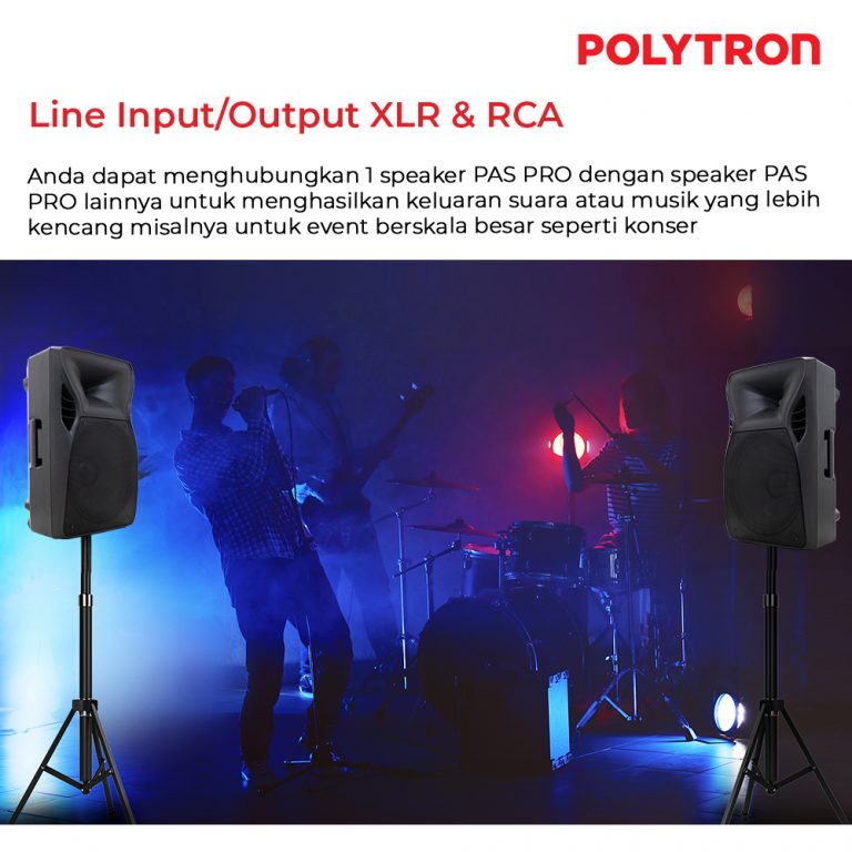 Polytron PAS Pro 15F5 - Speaker Profesional Polytron 15 Inch